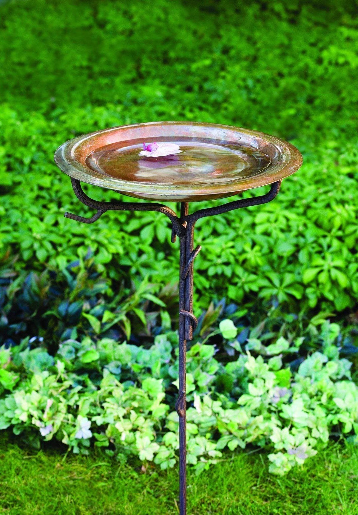 Outdoor Bird Decor: Frequently Asked Questions