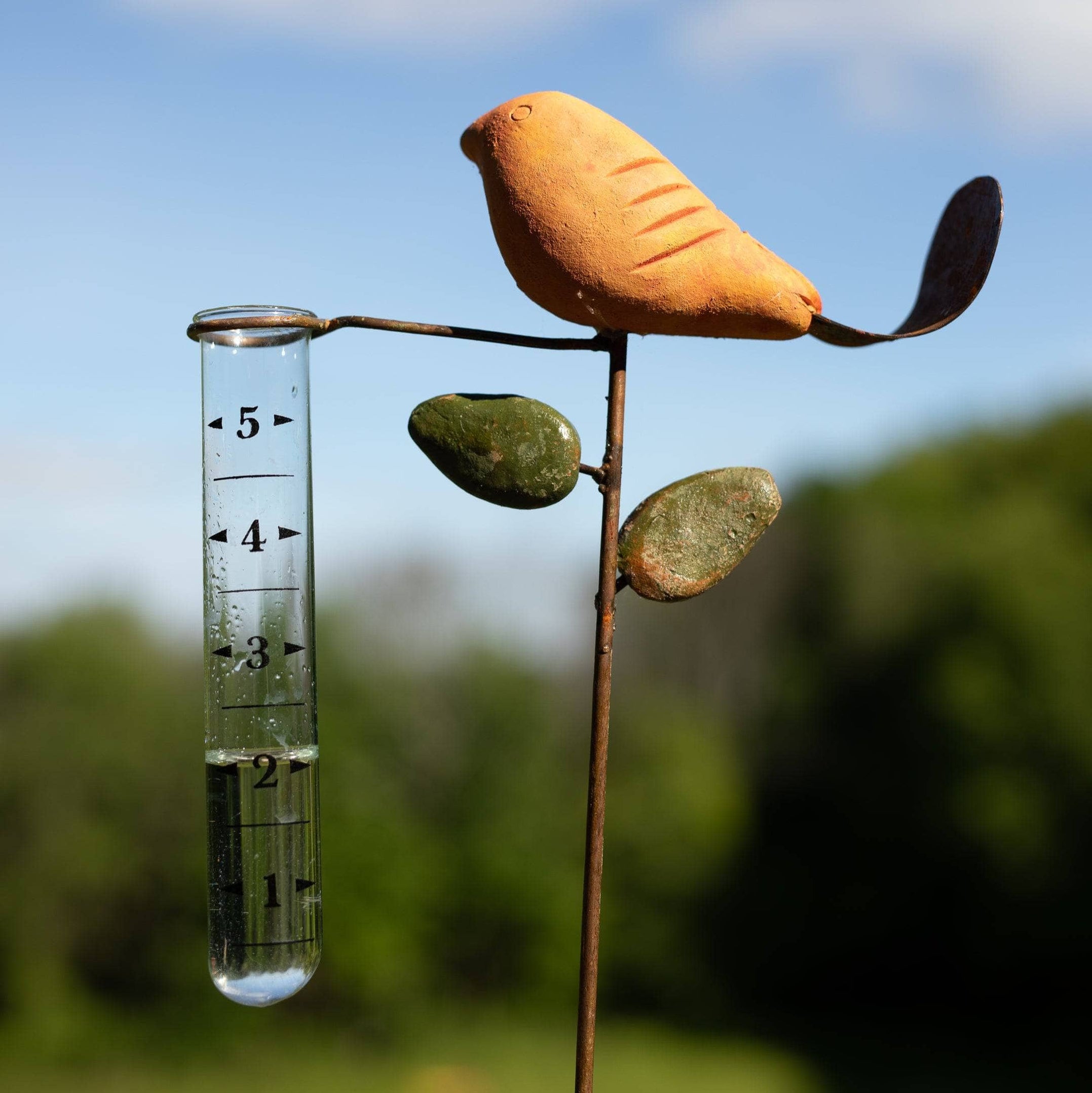 Spice Bird Rain Gauge