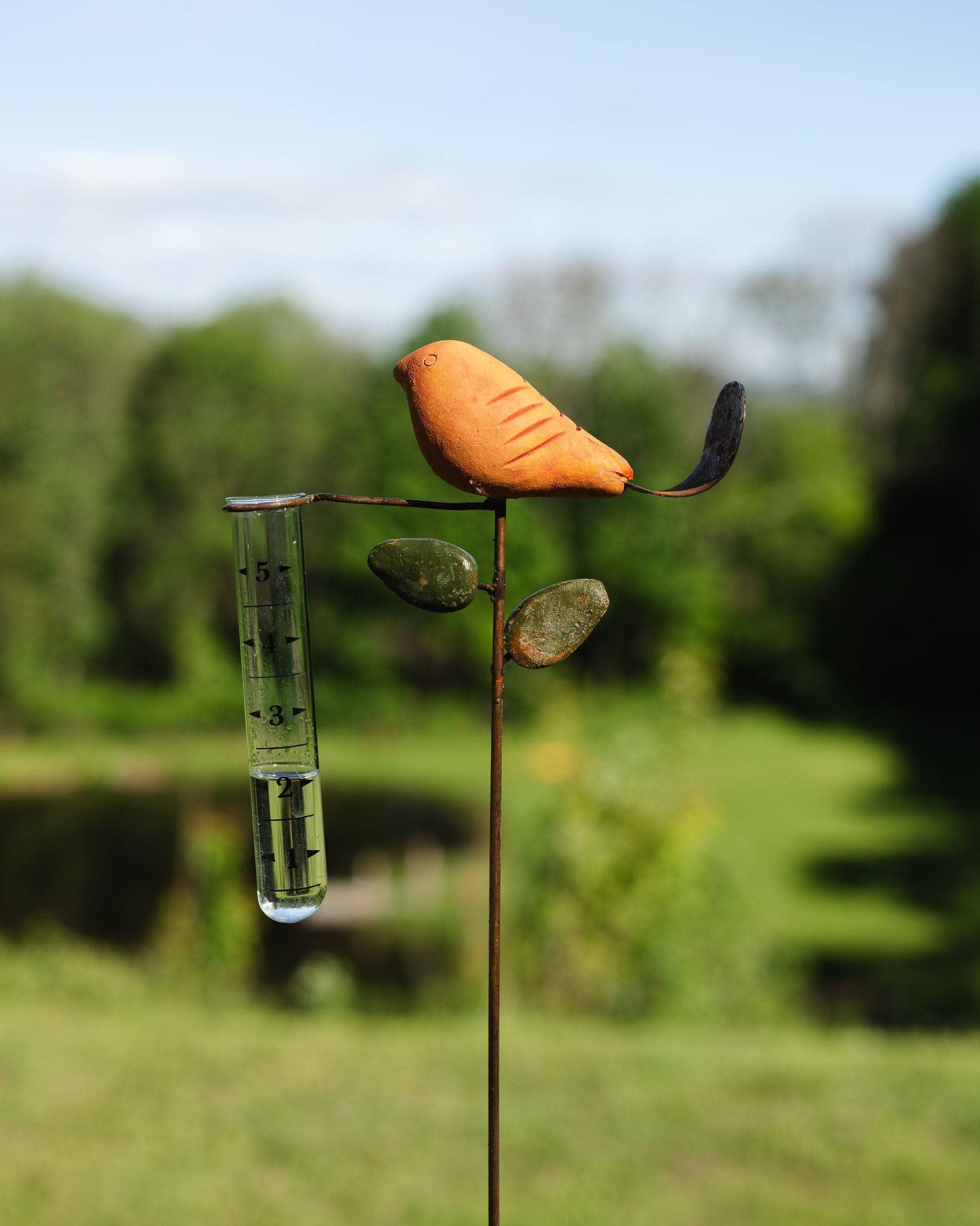 Spice Bird Rain Gauge