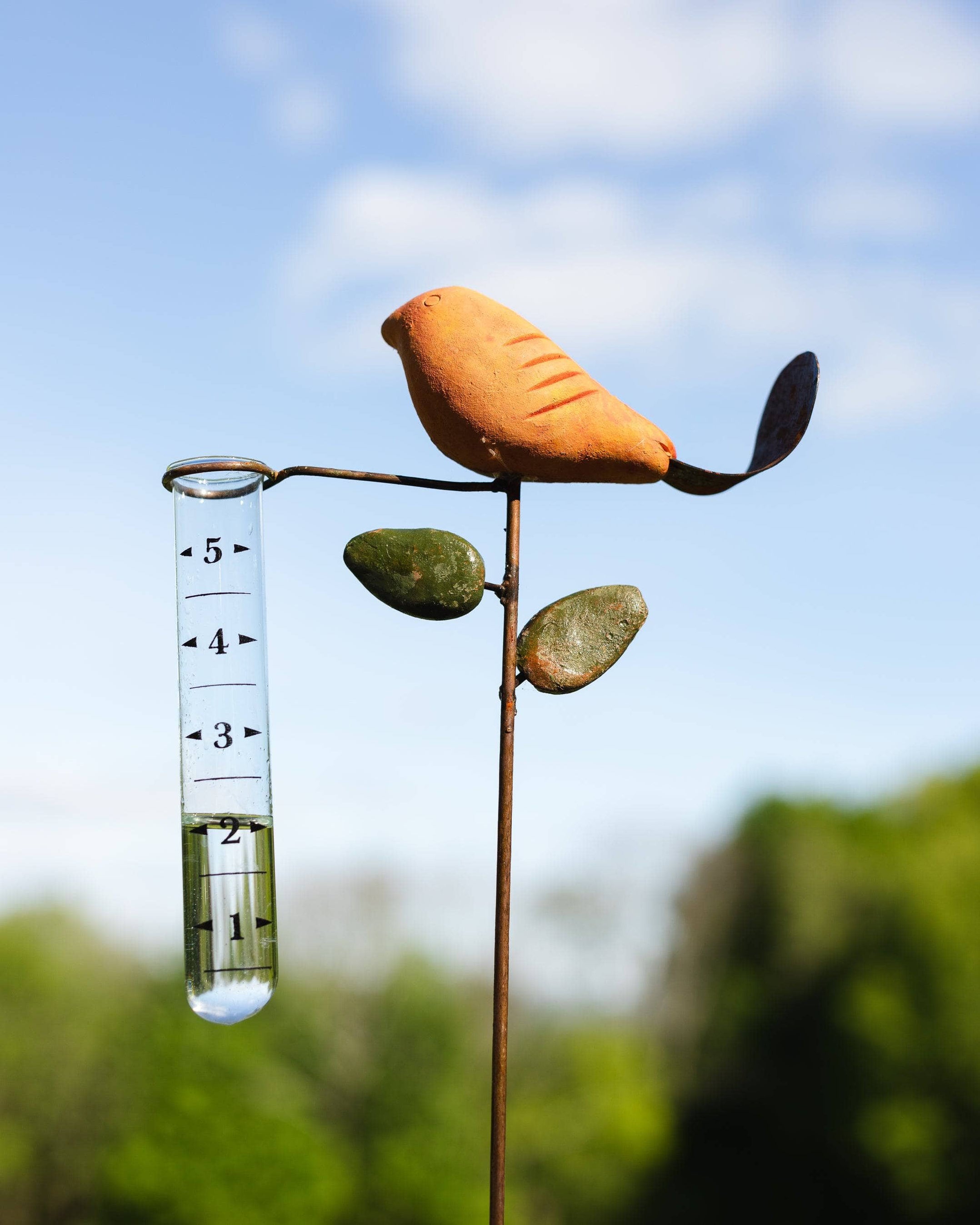 Spice Bird Rain Gauge