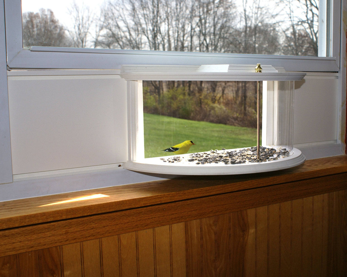 Clear View Window Bird Feeder