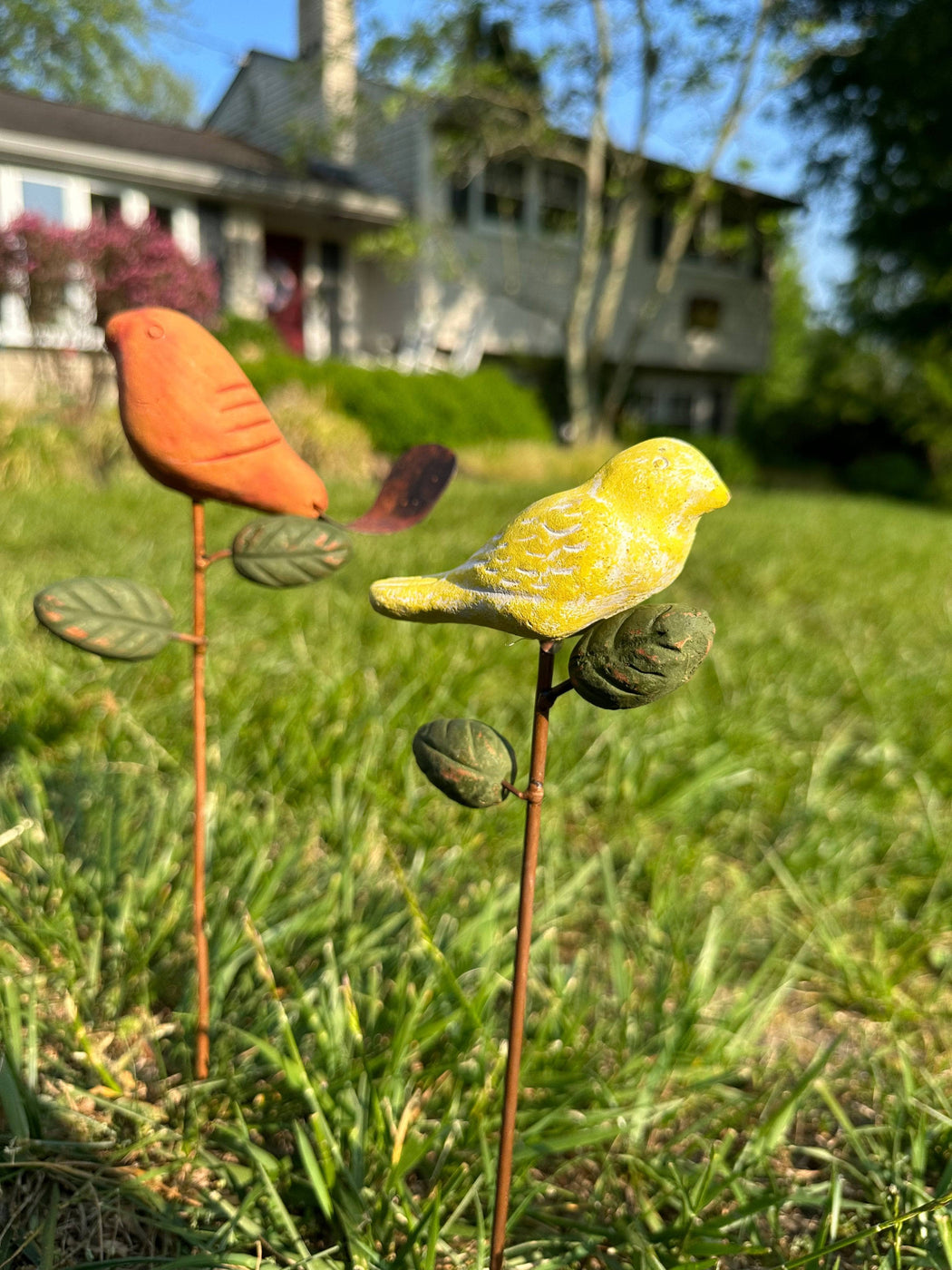 Plant Pick - Yellow Bird