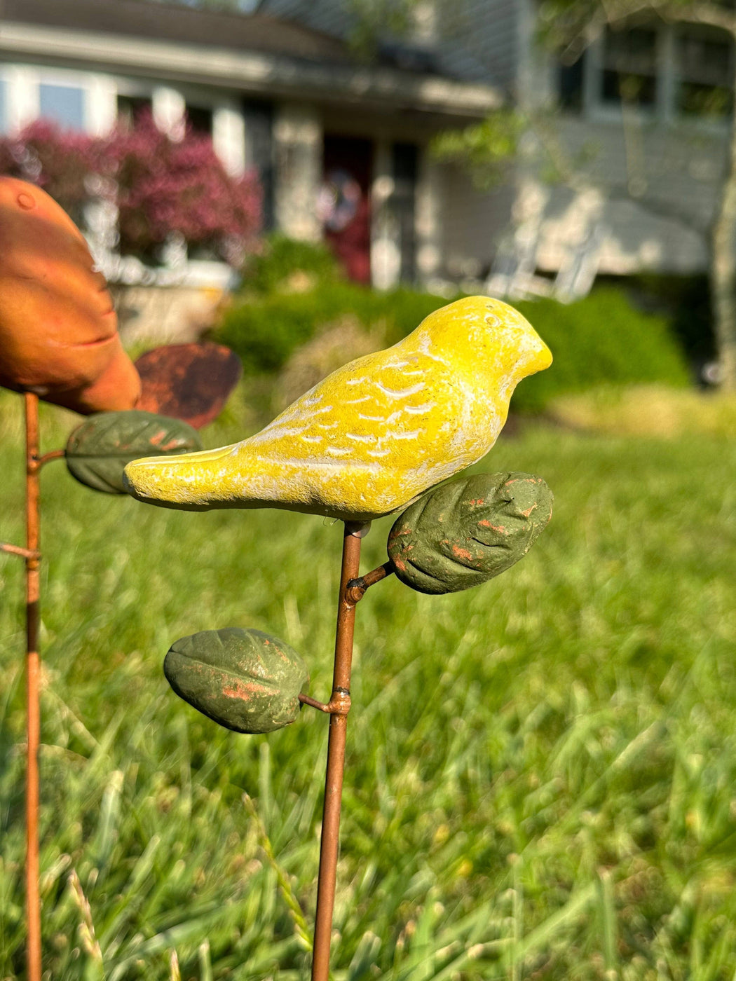 Plant Pick - Yellow Bird