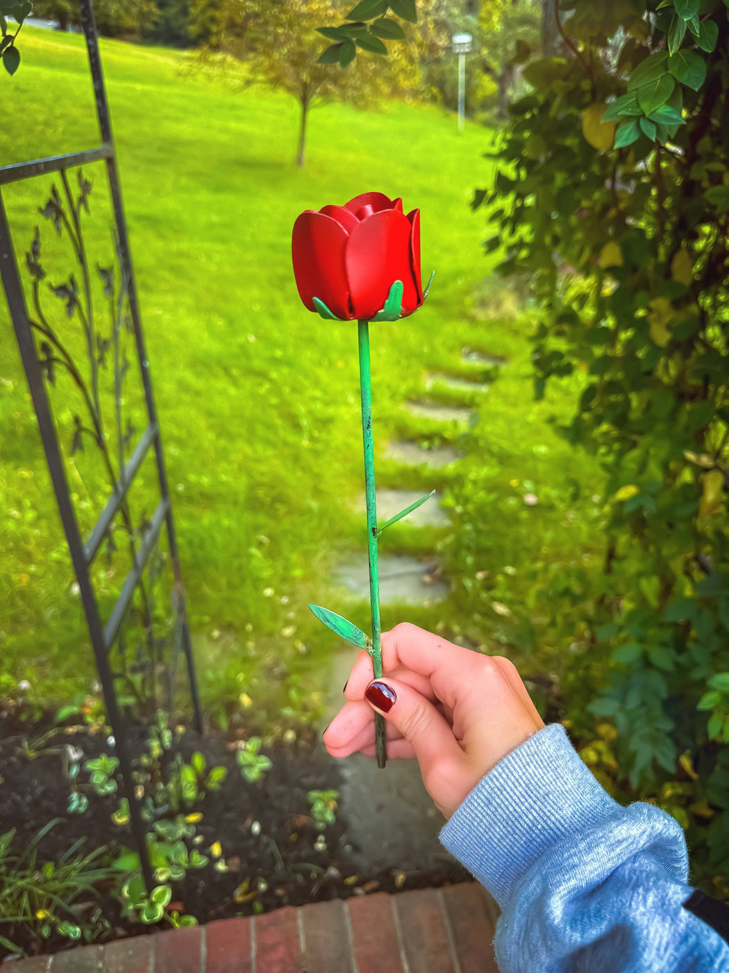 Plant Pick - Red Rose