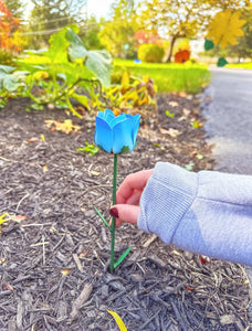 Plant Pick - Blue Rose