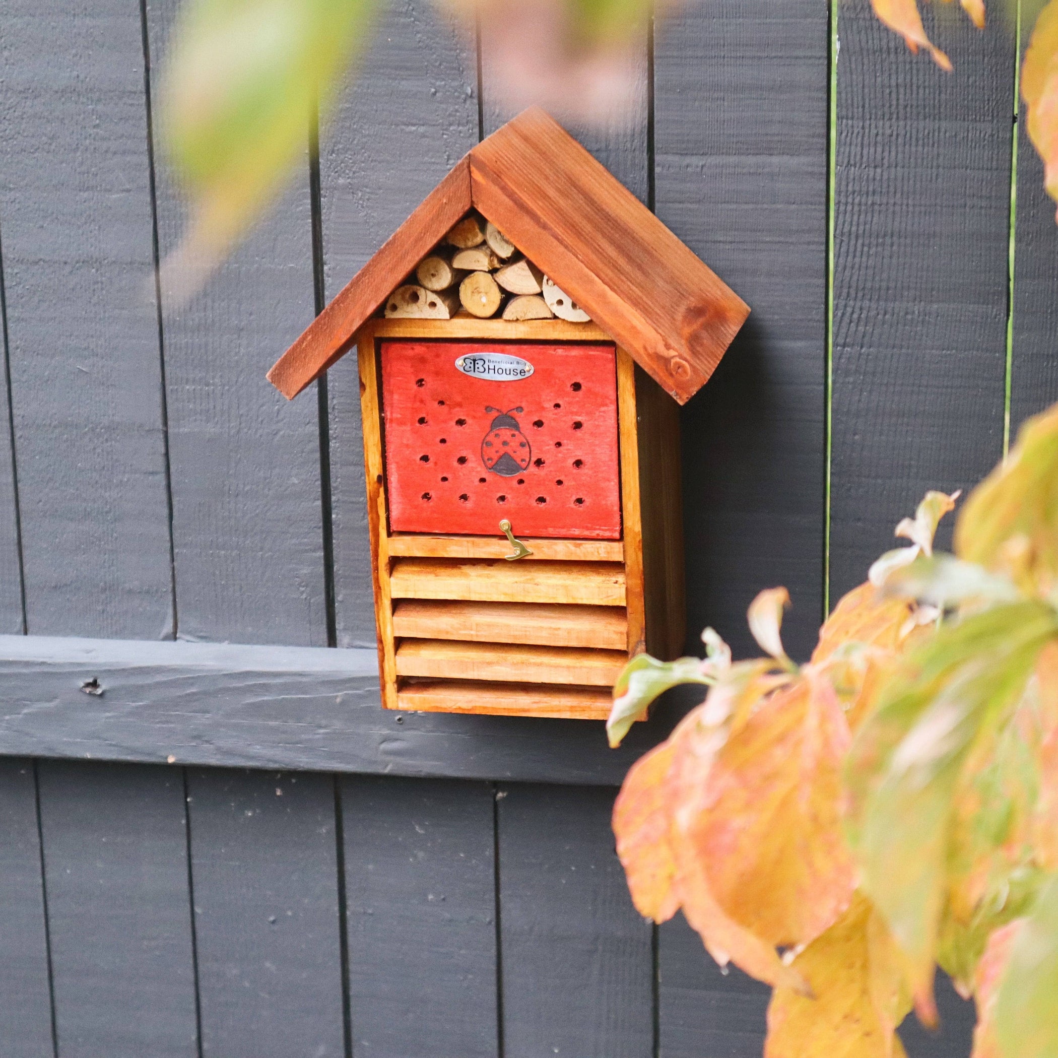 Lady Bug House - Beneficial For Garden