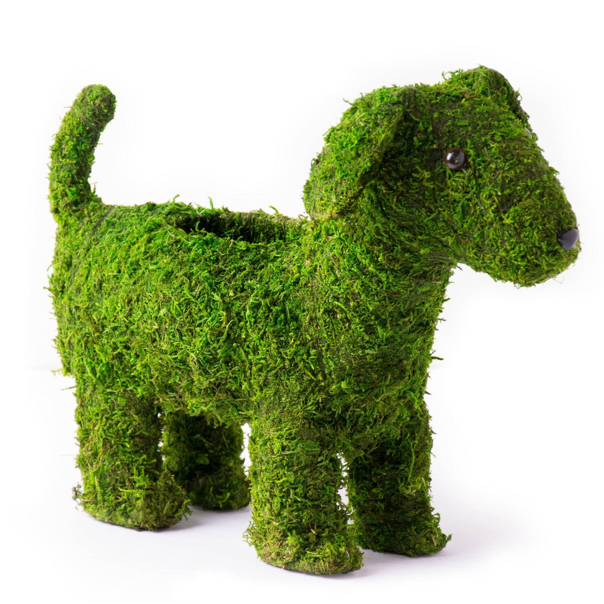 Puppy Moss Planter, 13in